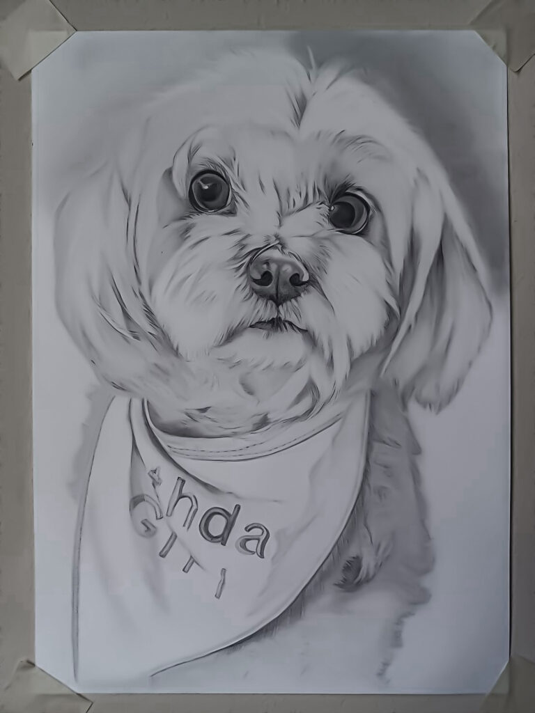 Custom Pet Pencil Drawing Portrait From Your Photo - Custom Pencil ...