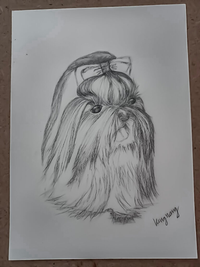 Custom Pet Pencil Drawing Portrait From Your Photo - Custom Pencil ...